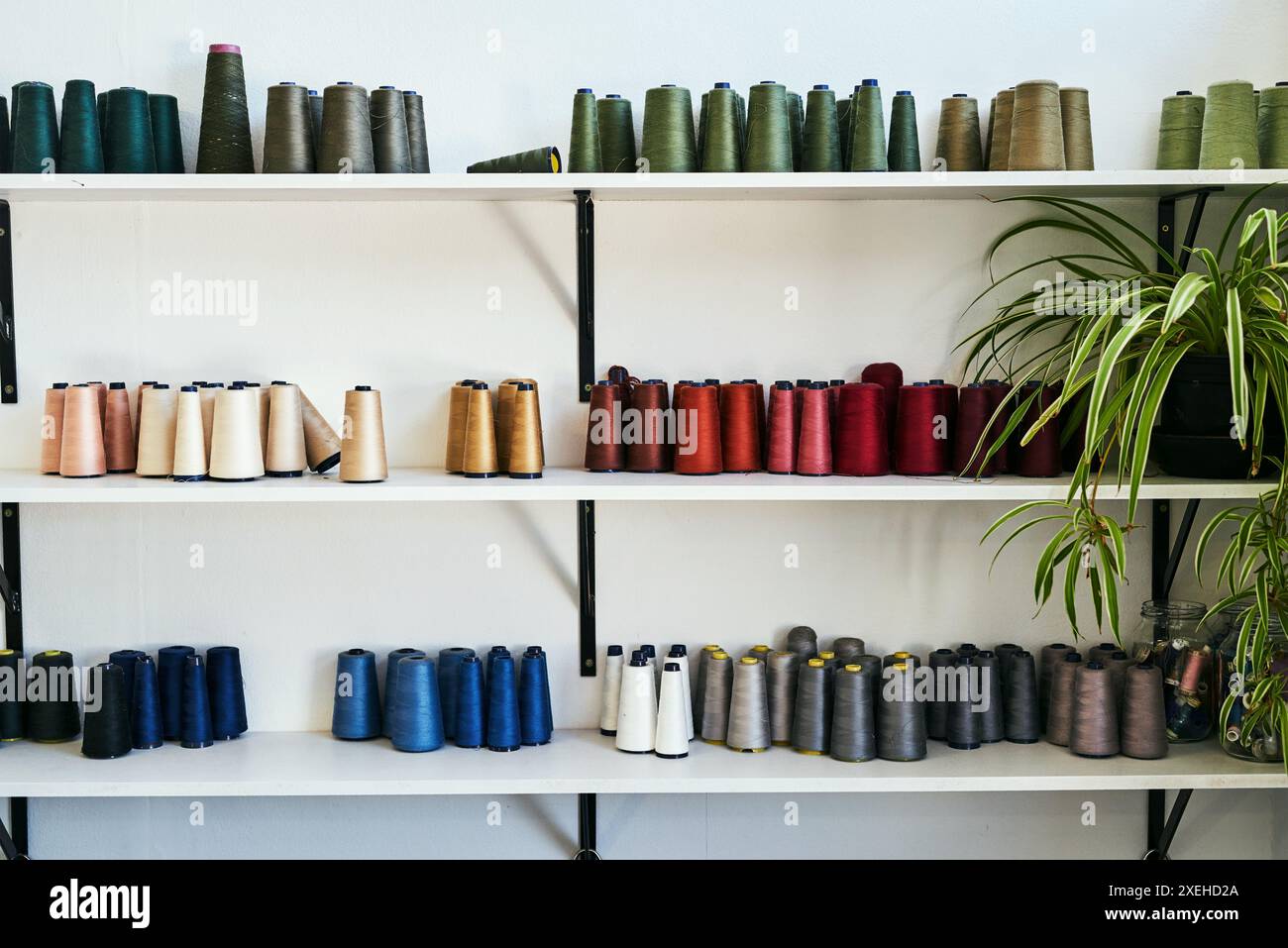 Collection of wool hi-res stock photography and images - Alamy