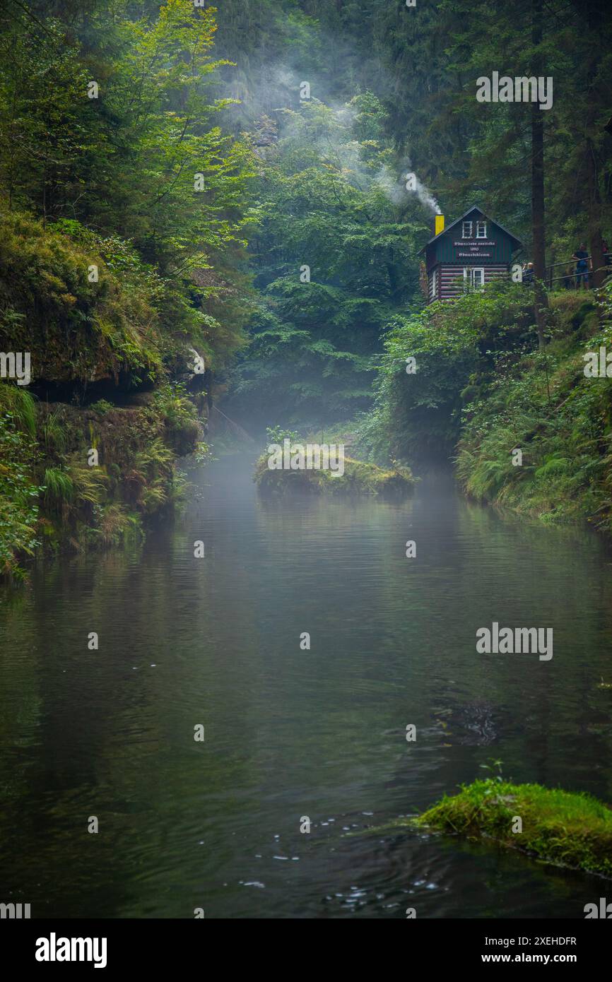 Nature, landscape shot of a gorge with a river. HÅ™ensko, Kamnitzklamm ...
