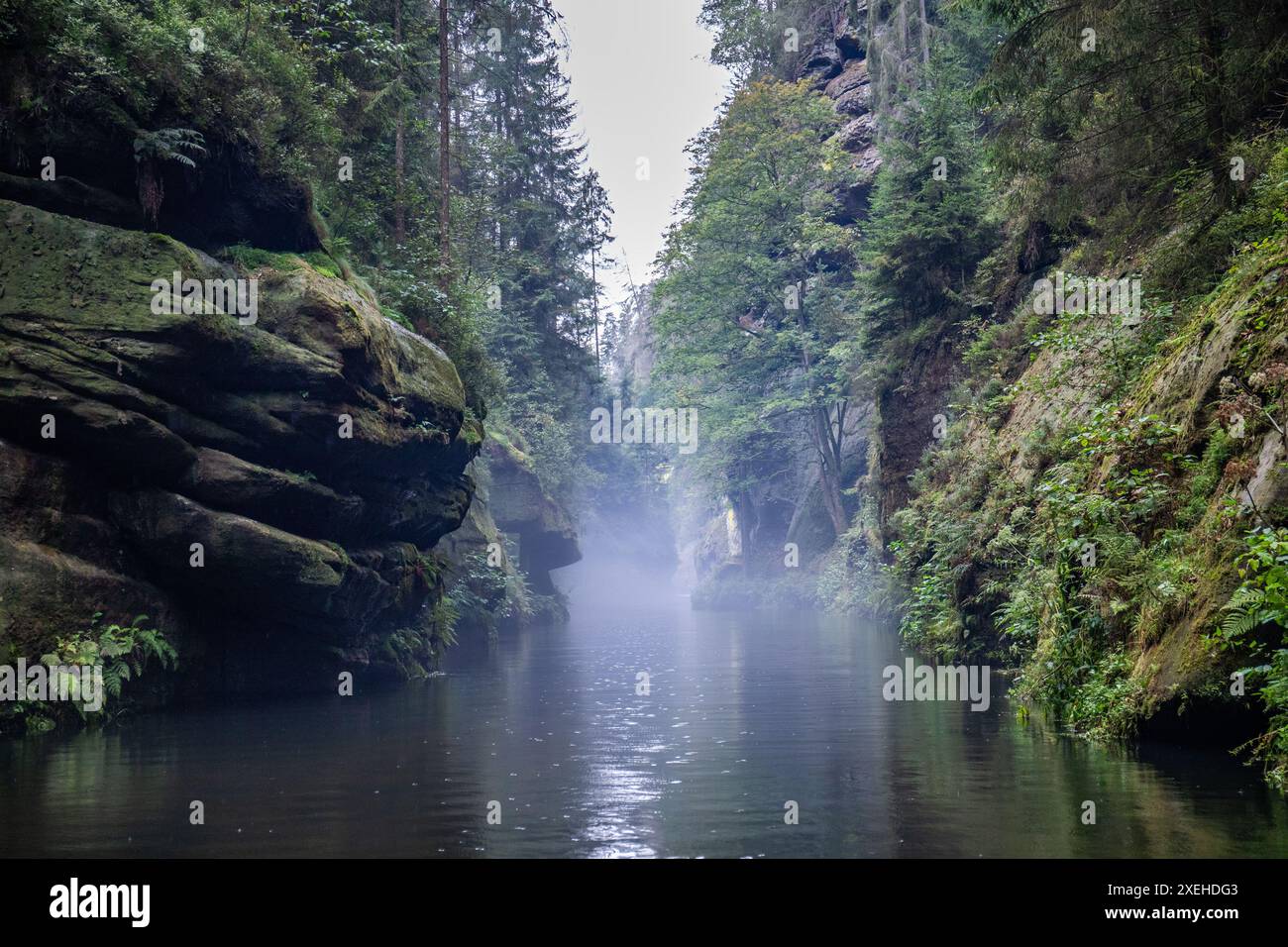 Nature, landscape shot of a gorge with a river. HÅ™ensko, Kamnitzklamm ...