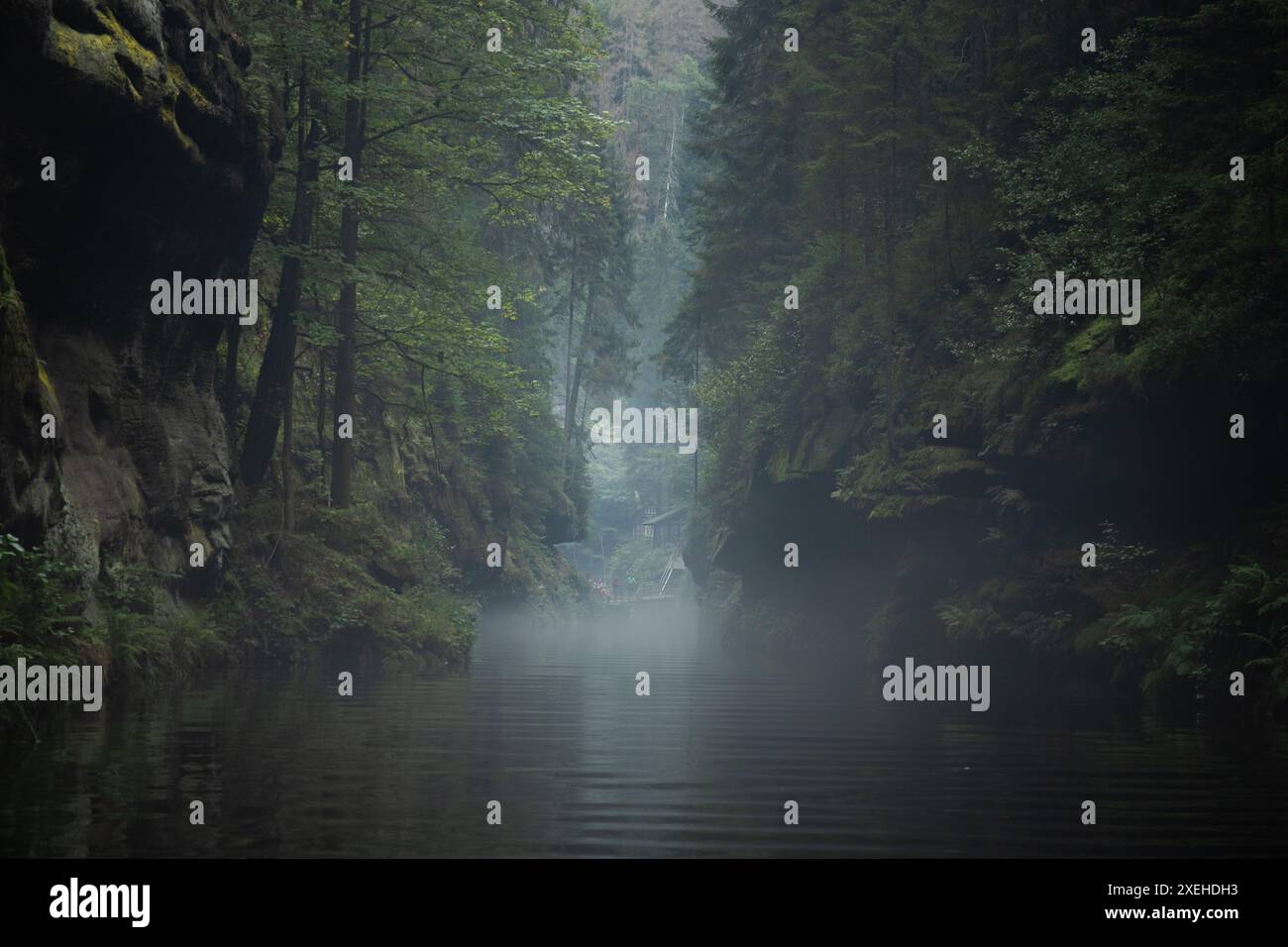 Nature, landscape shot of a gorge with a river. HÅ™ensko, Kamnitzklamm ...
