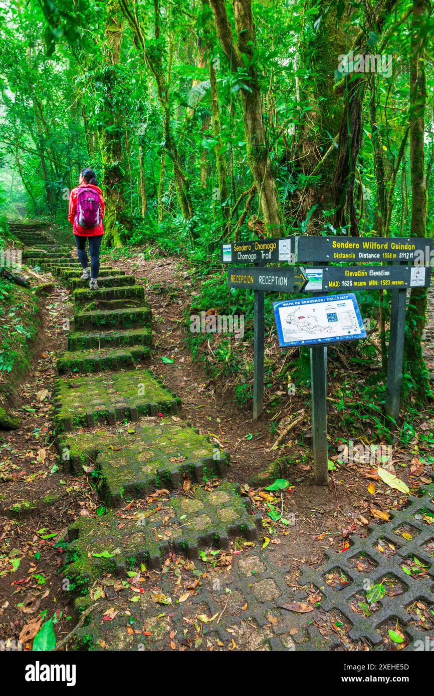 Hiker and trail juncti0n at the Monte Verde Cloud Forest Preserve ...