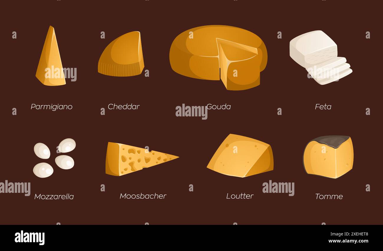 Set of different types of cheeses. Vector illustration with text. Ideal ...