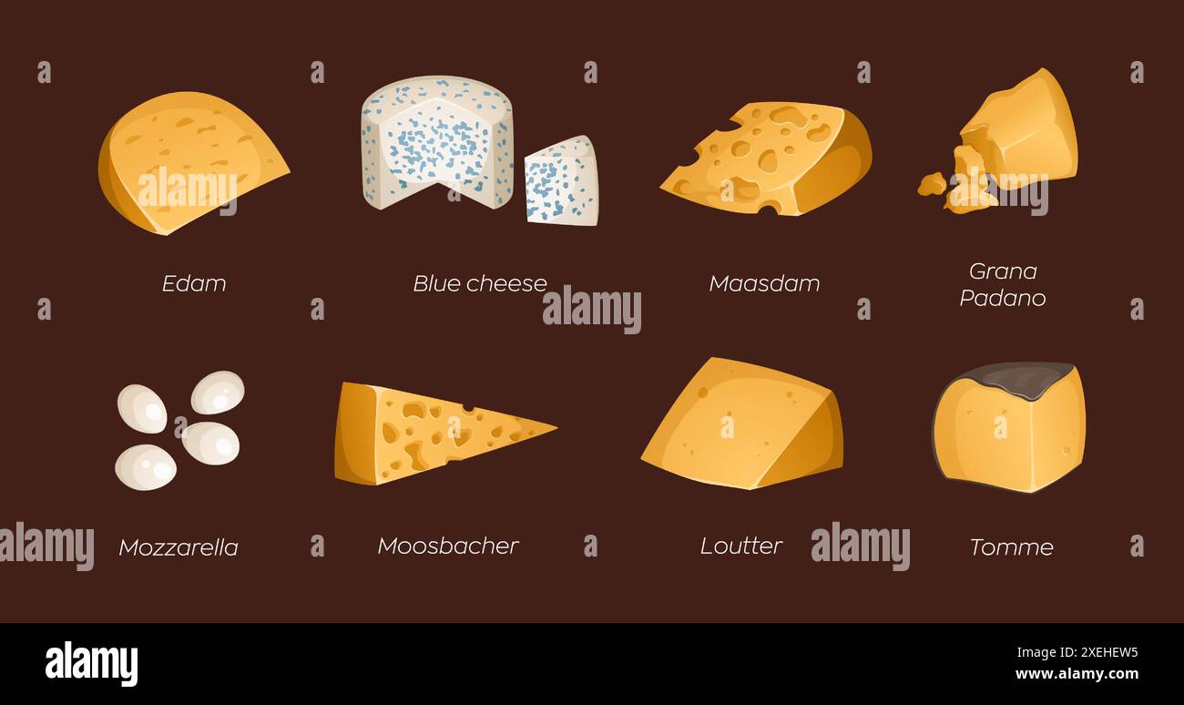 Set of different types of cheeses. Vector illustration with text. Ideal ...