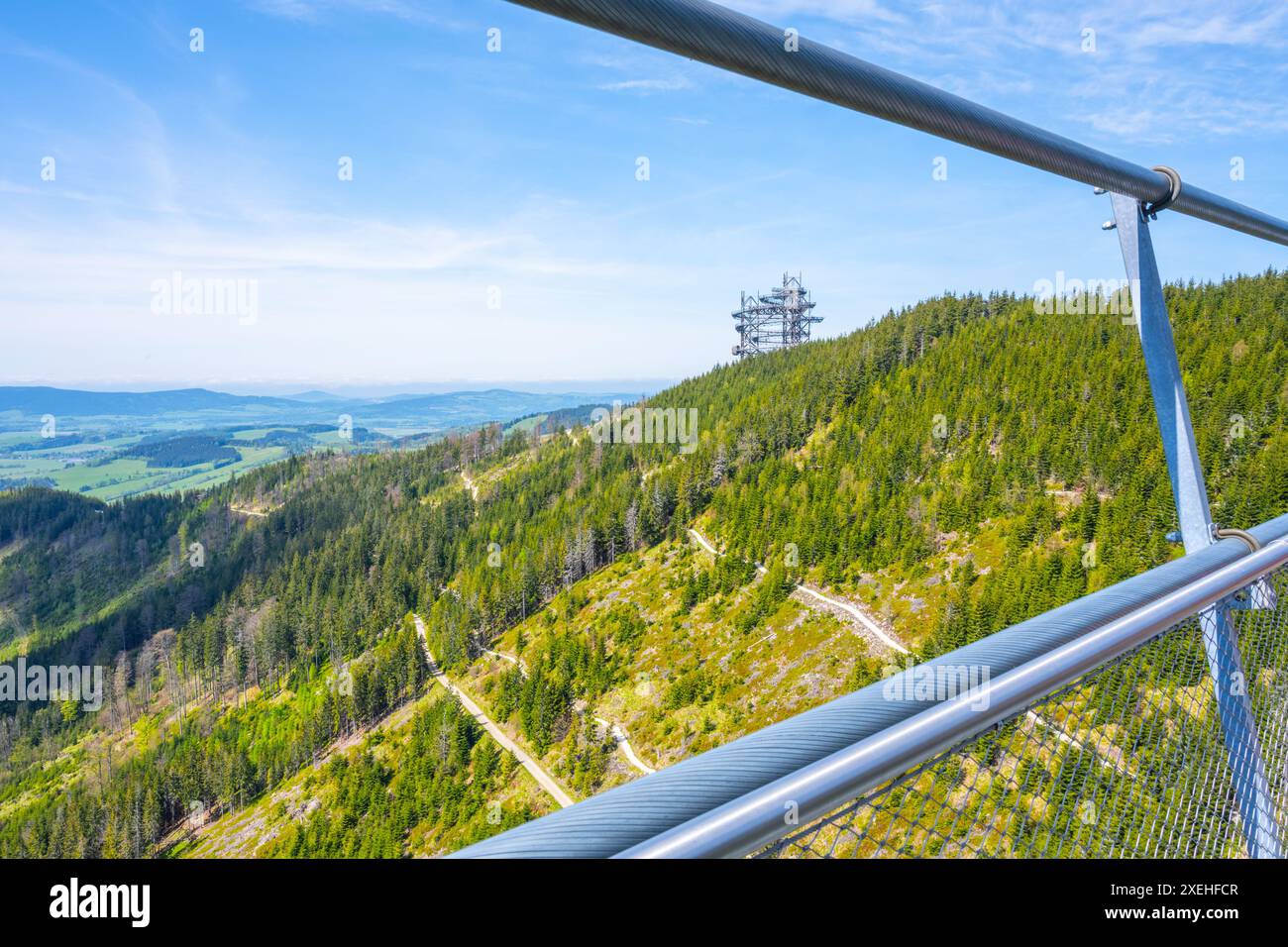 A view from the Sky Walk lookout tower, looking out over the forested ...