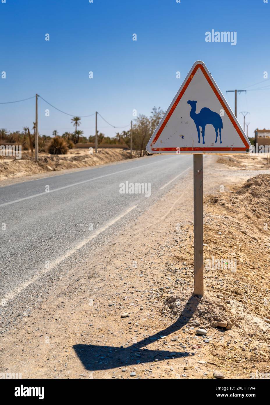 Caution sign warning of camels on road hi-res stock photography and ...