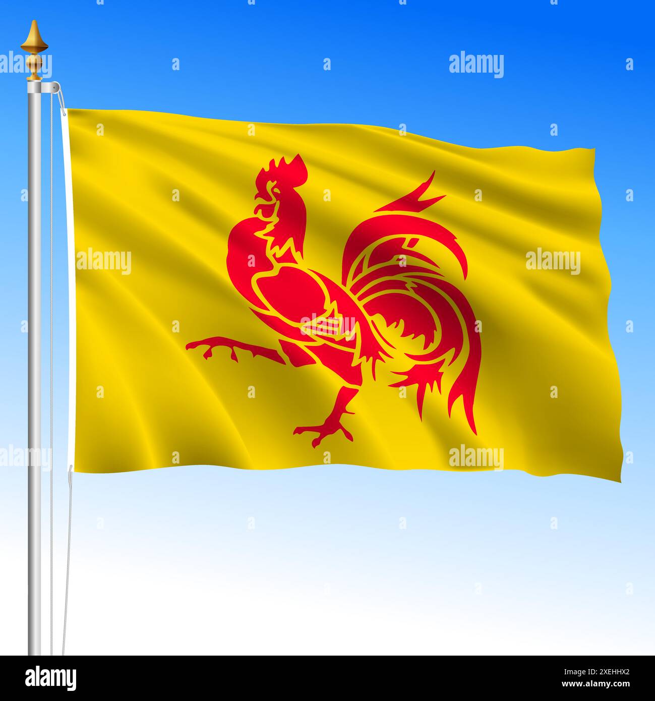 Wallonia regional waving flag, Kingdom of Belgium, vector file ...