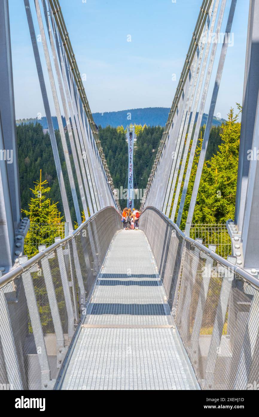 Experience breathtaking views from Sky Bridge 721, the worlds longest ...