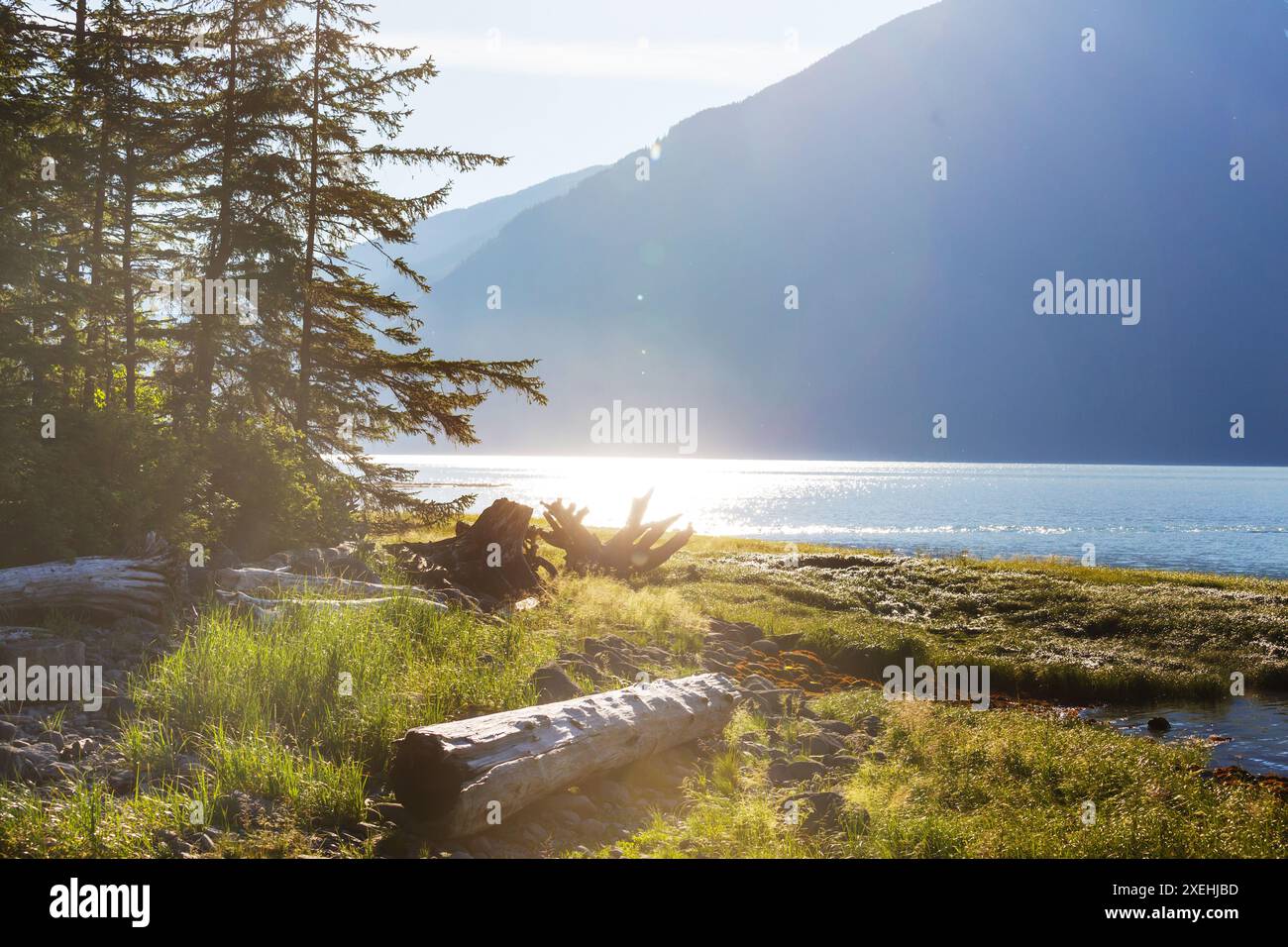 Bella coola valley hi-res stock photography and images - Alamy