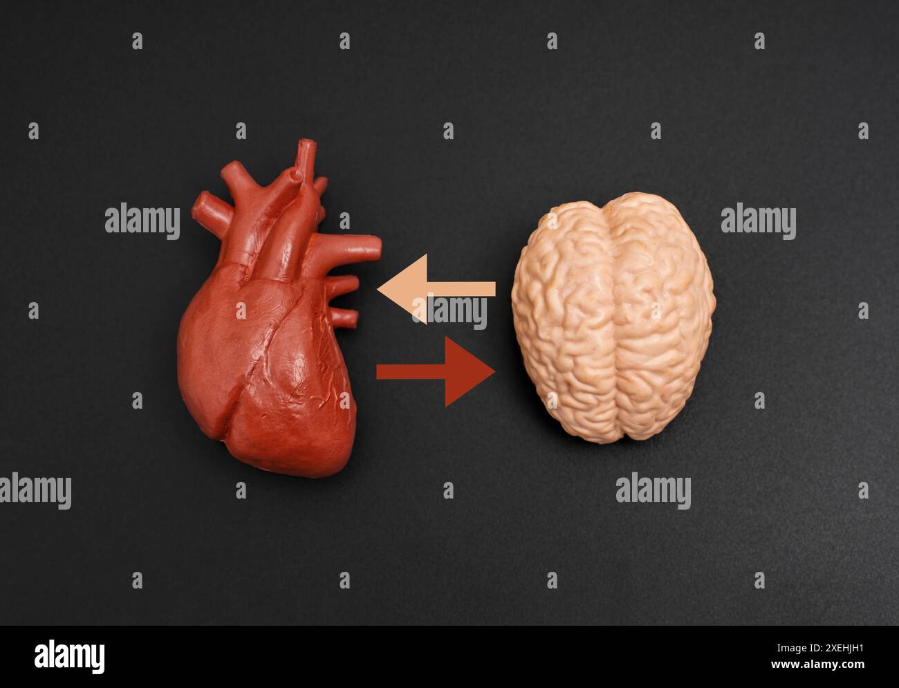 Conceptual image depicting the connection between the heart and the ...