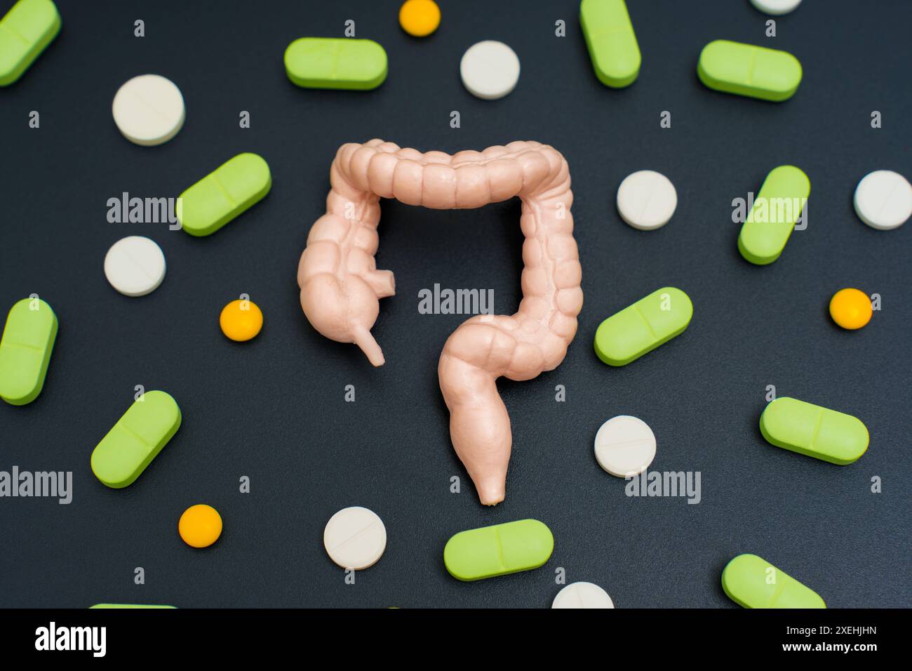 Human large intestine model, surrounded by various pills and capsules ...