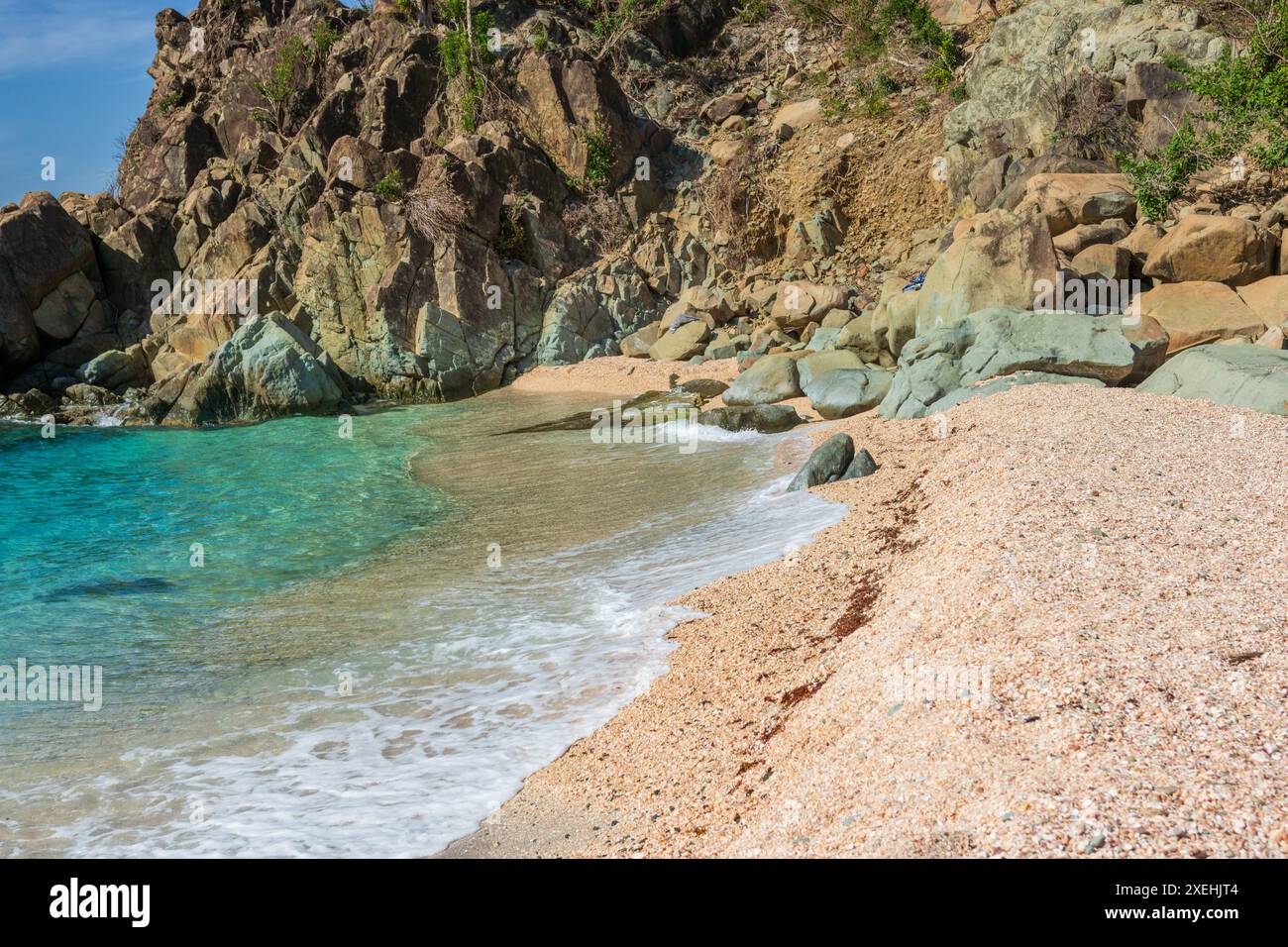 Close-up photo of a lot of shells at the beach in Saint Barthelemy (St ...