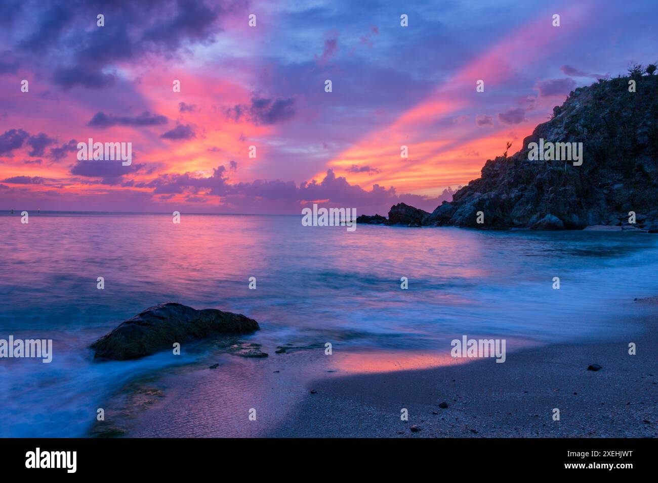 Close-up photo of a lot of shells at the beach in Saint Barthelemy (St ...