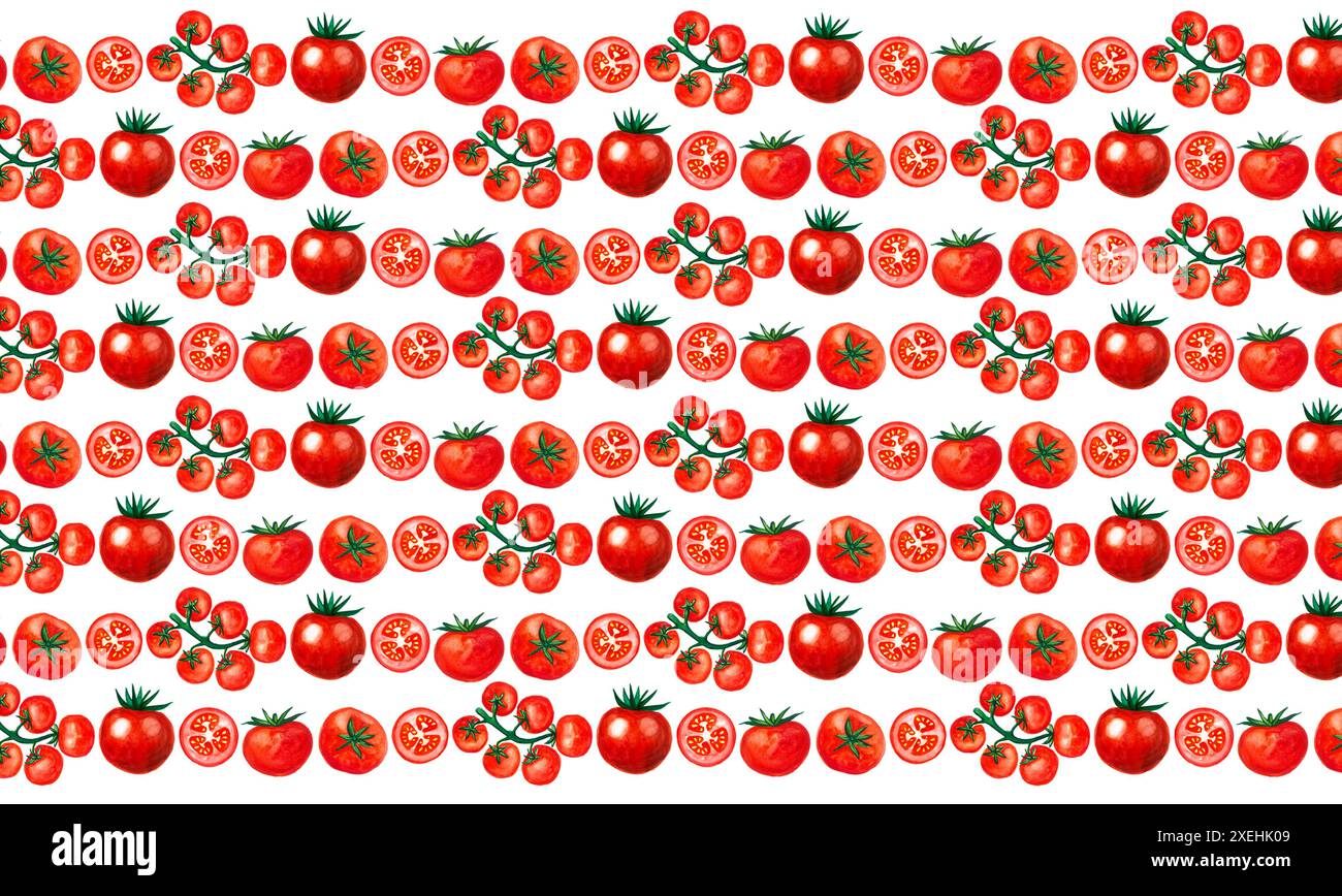 Pattern of different types of tomatoes. Watercolor drawing. White ...