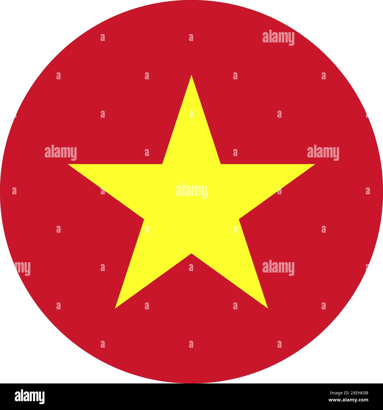 VIETNAM Flag in circle, official color, National flag, symbol of nation ...
