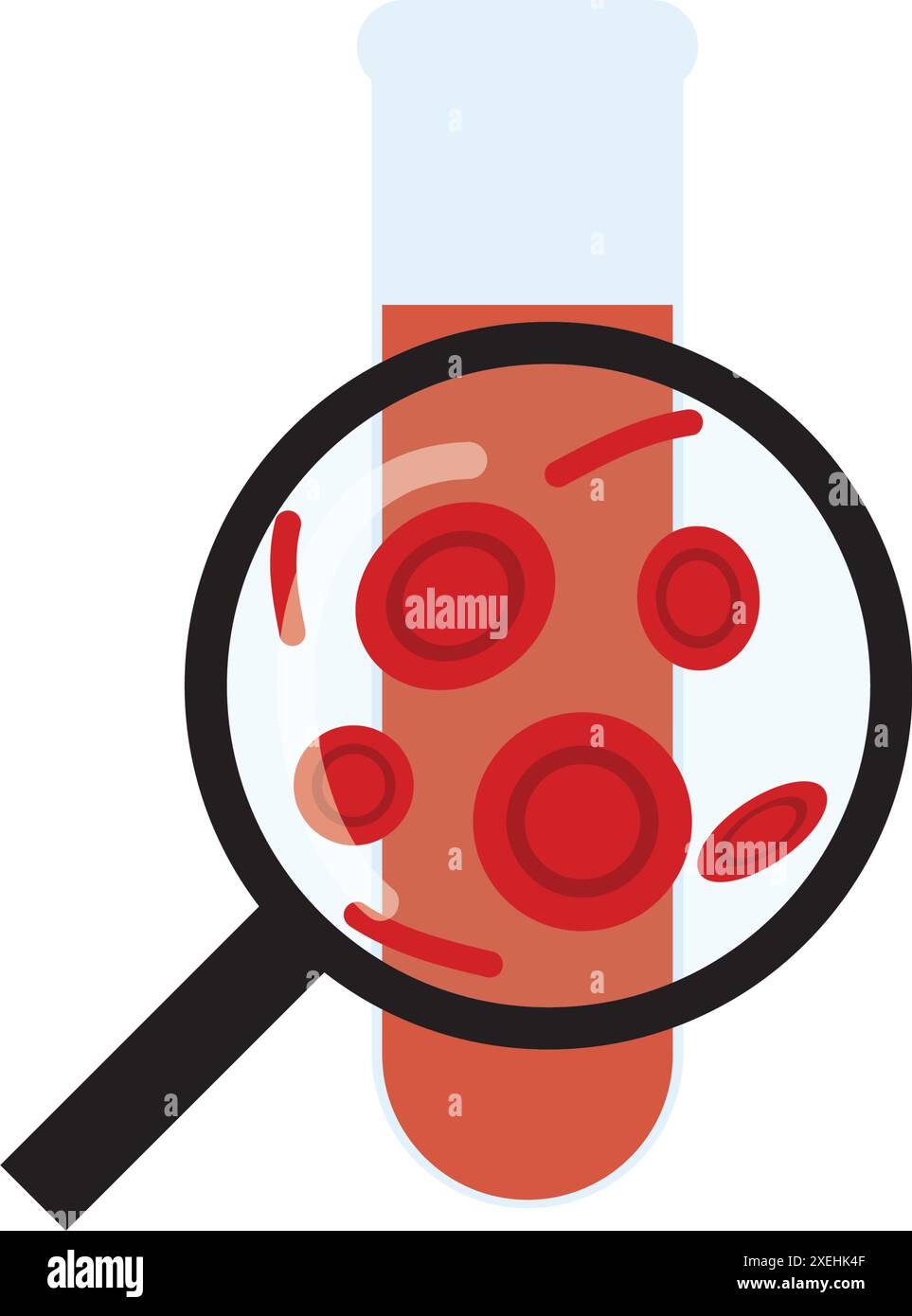 Hematology concept with red blood cell tube laboratory analysis flat ...