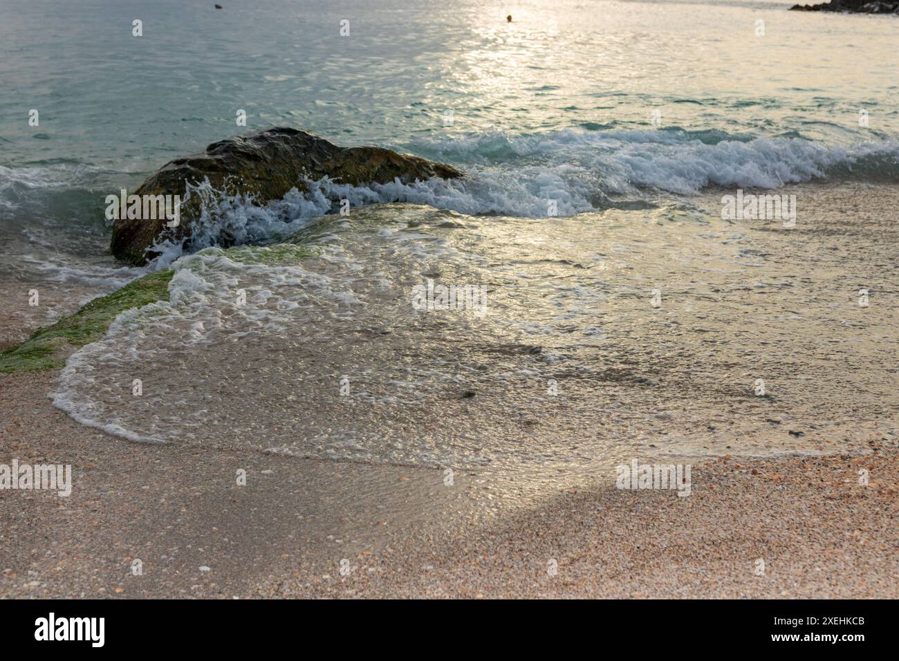 Close-up photo of a lot of shells at the beach in Saint Barthelemy (St ...