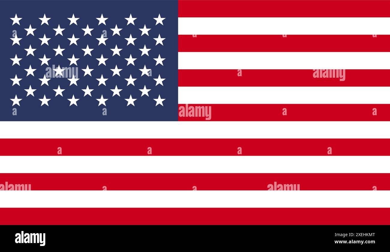 USA Flag vector illustration, official color, National flag, symbol of ...
