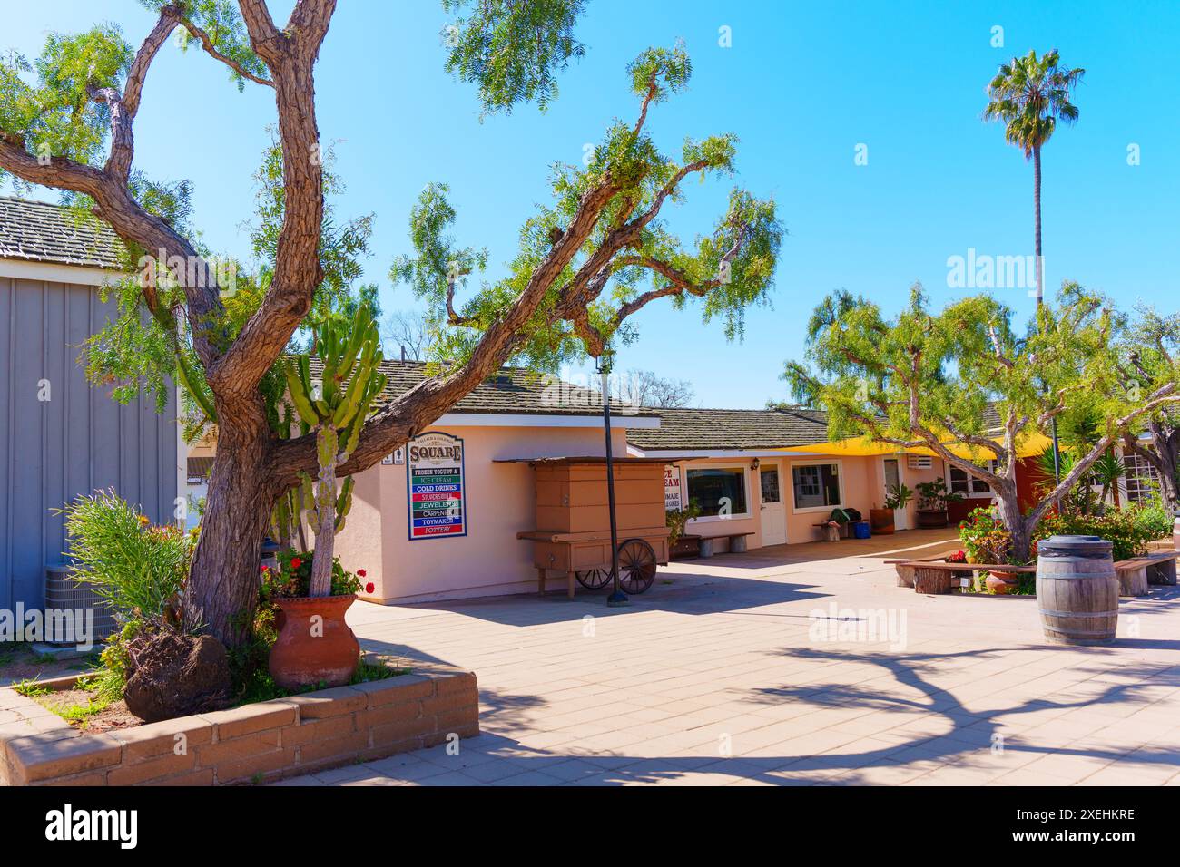 San Diego, California - April 16, 2024: Courtyard with a large tree ...