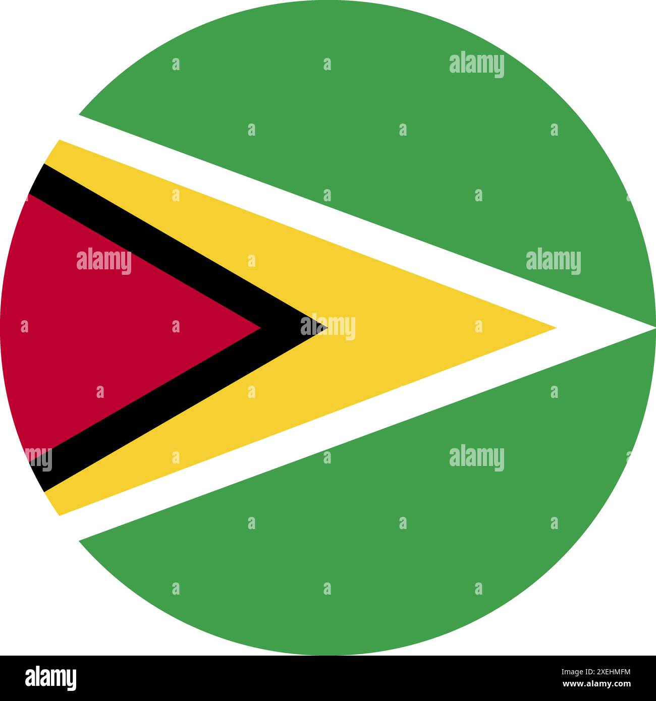 GUYANA Flag in circle vector illustration, official color, National flag, symbol of nation ...