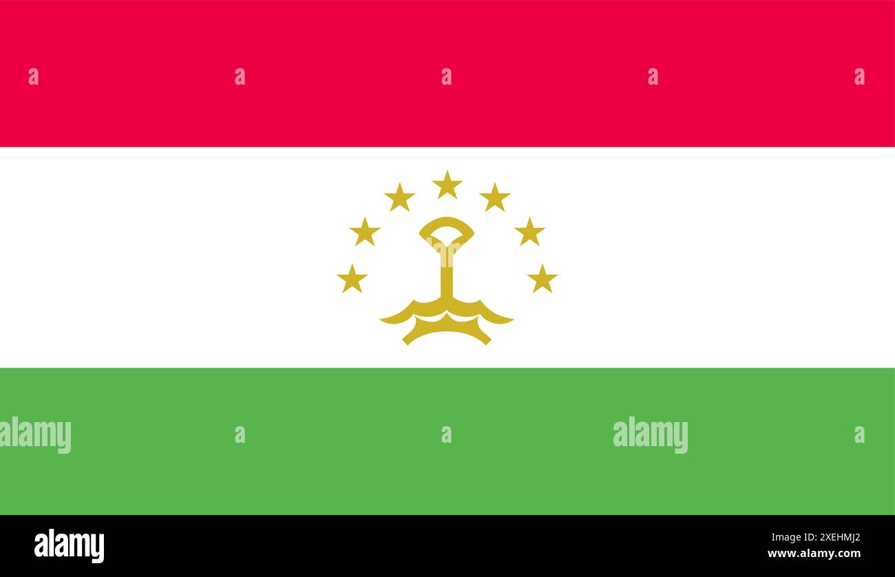 TAJIKISTAN Flag vector illustration, official color, National flag ...