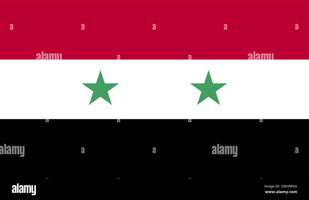 SYRIA Flag vector illustration, official color, National flag, symbol ...