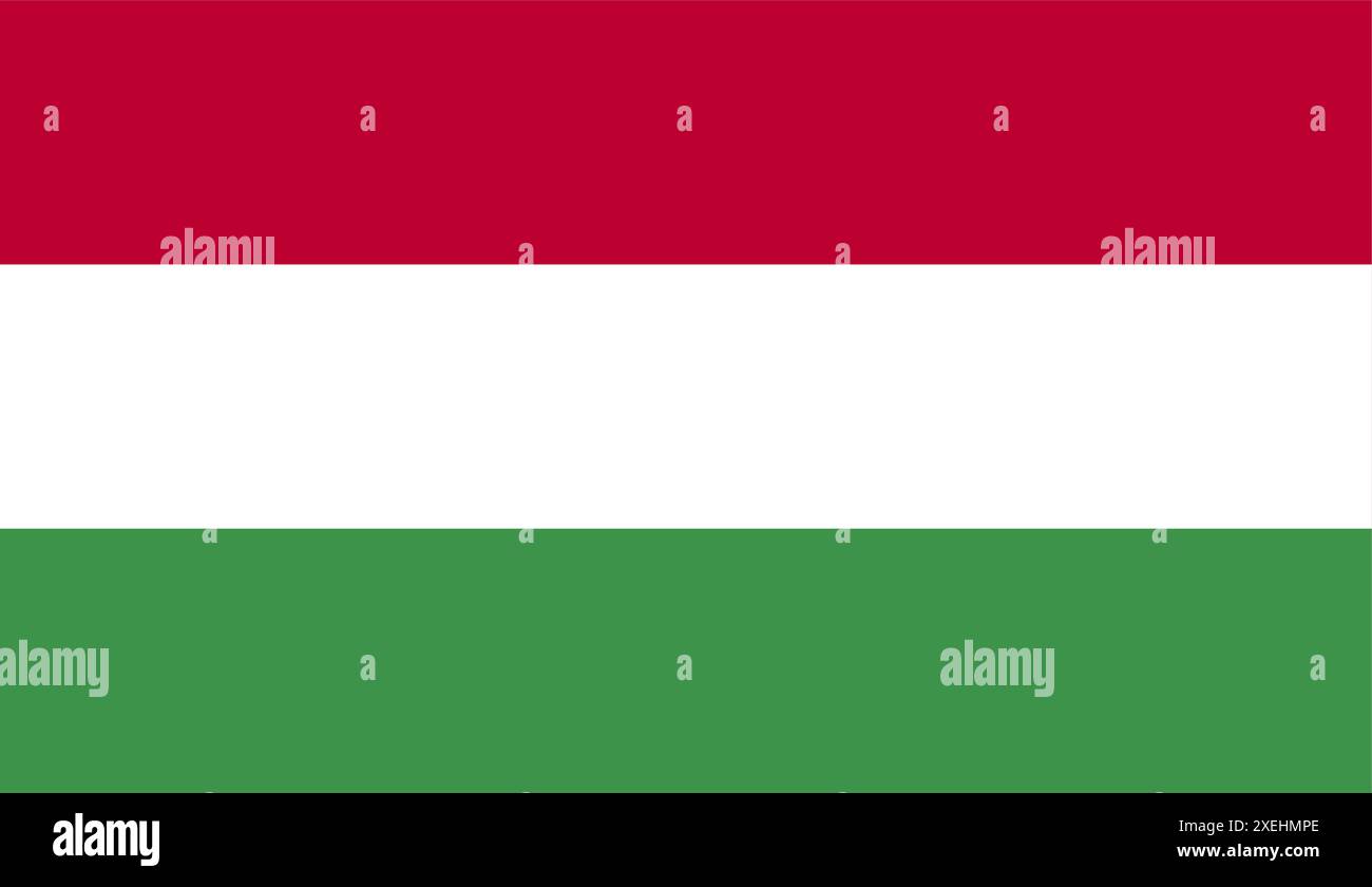 HUNGARY Flag vector illustration, official color, National flag, symbol ...