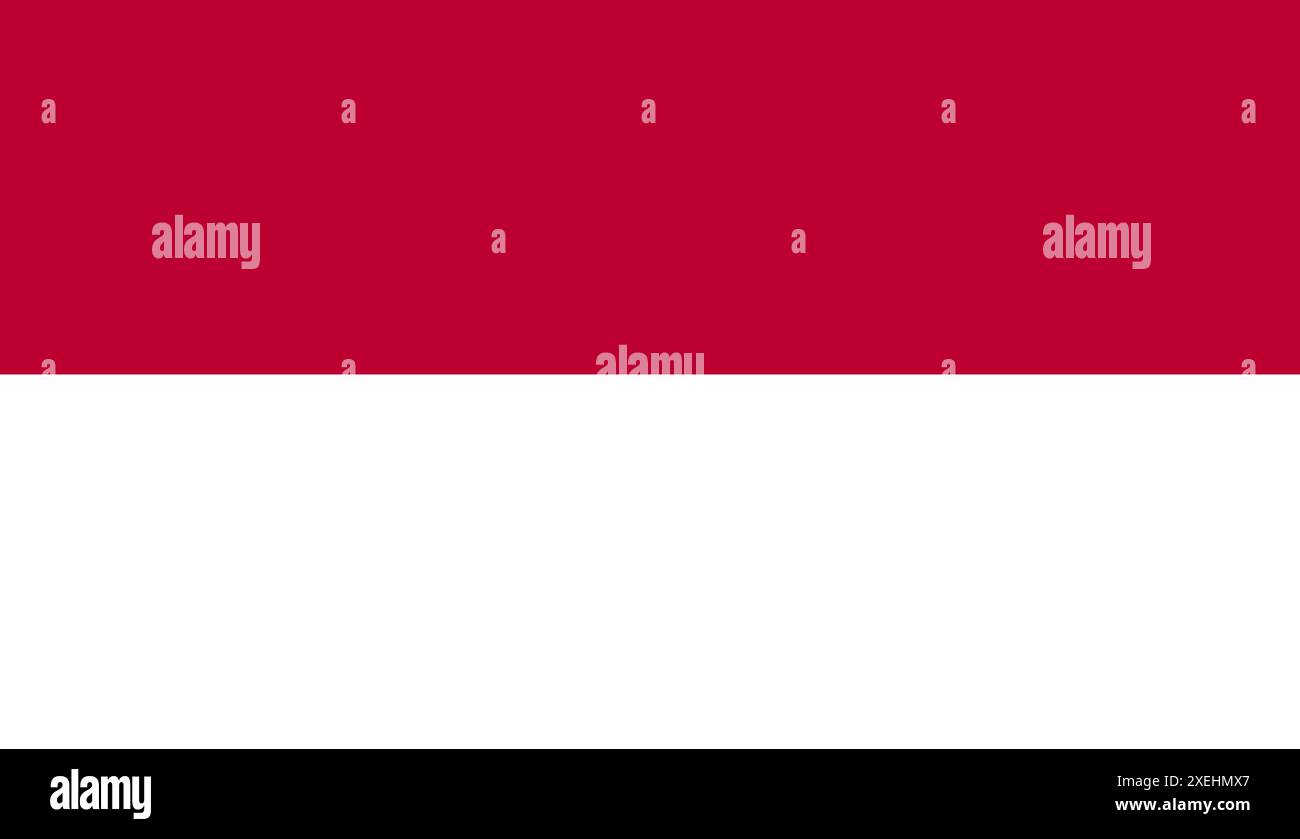 INDONESIA Flag vector illustration, official color, National flag ...
