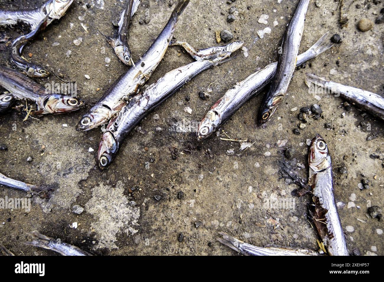 Detail asian style cooked hi-res stock photography and images - Alamy