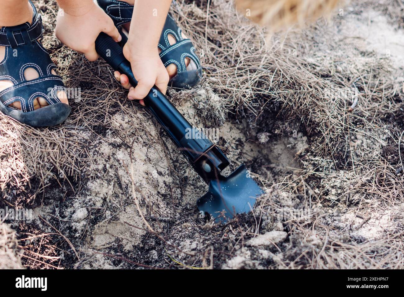 Cute boy digging soil in forest near sea beach. Family natural ...
