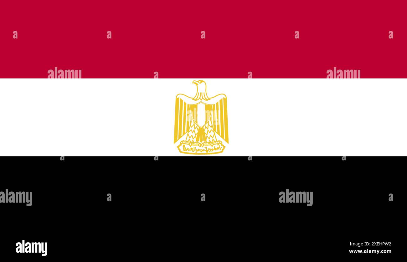 EGYPT Flag vector illustration, official color, National flag, symbol ...
