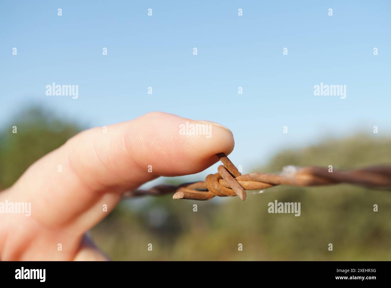 Woman's finger stabbing herself with rusty barbed wire Stock Photo - Alamy