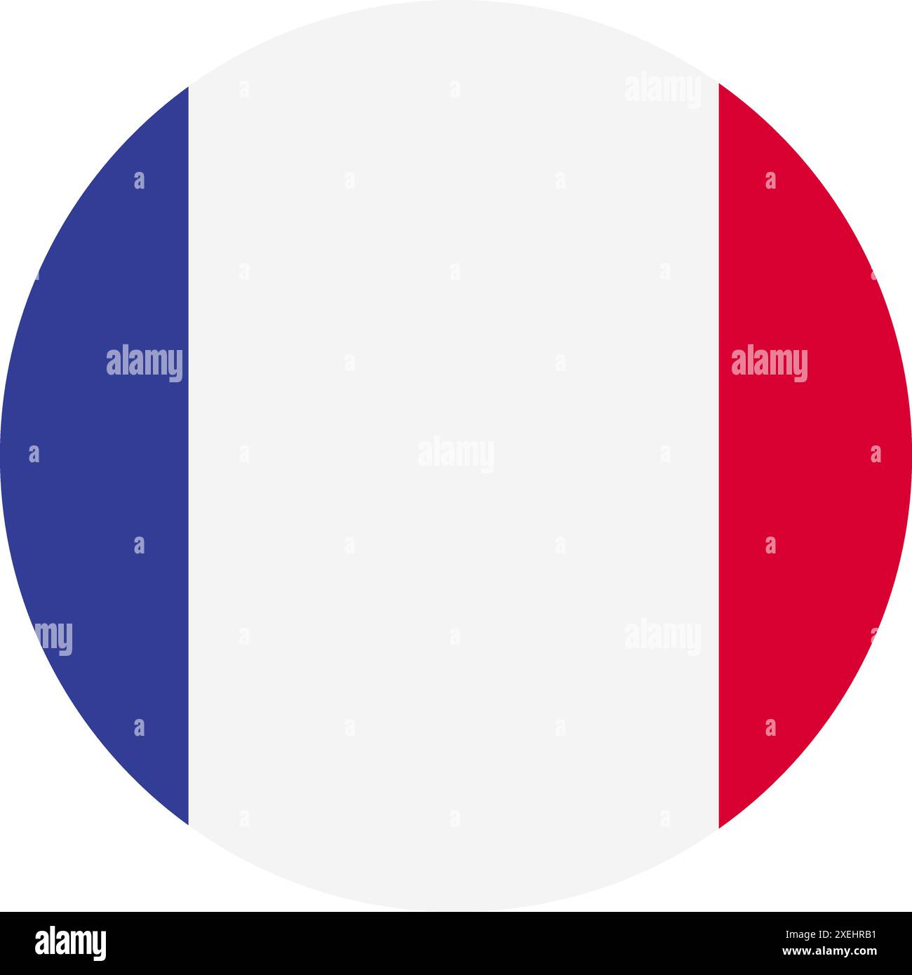 FRANCE Flag in circle vector illustration, official color, National ...
