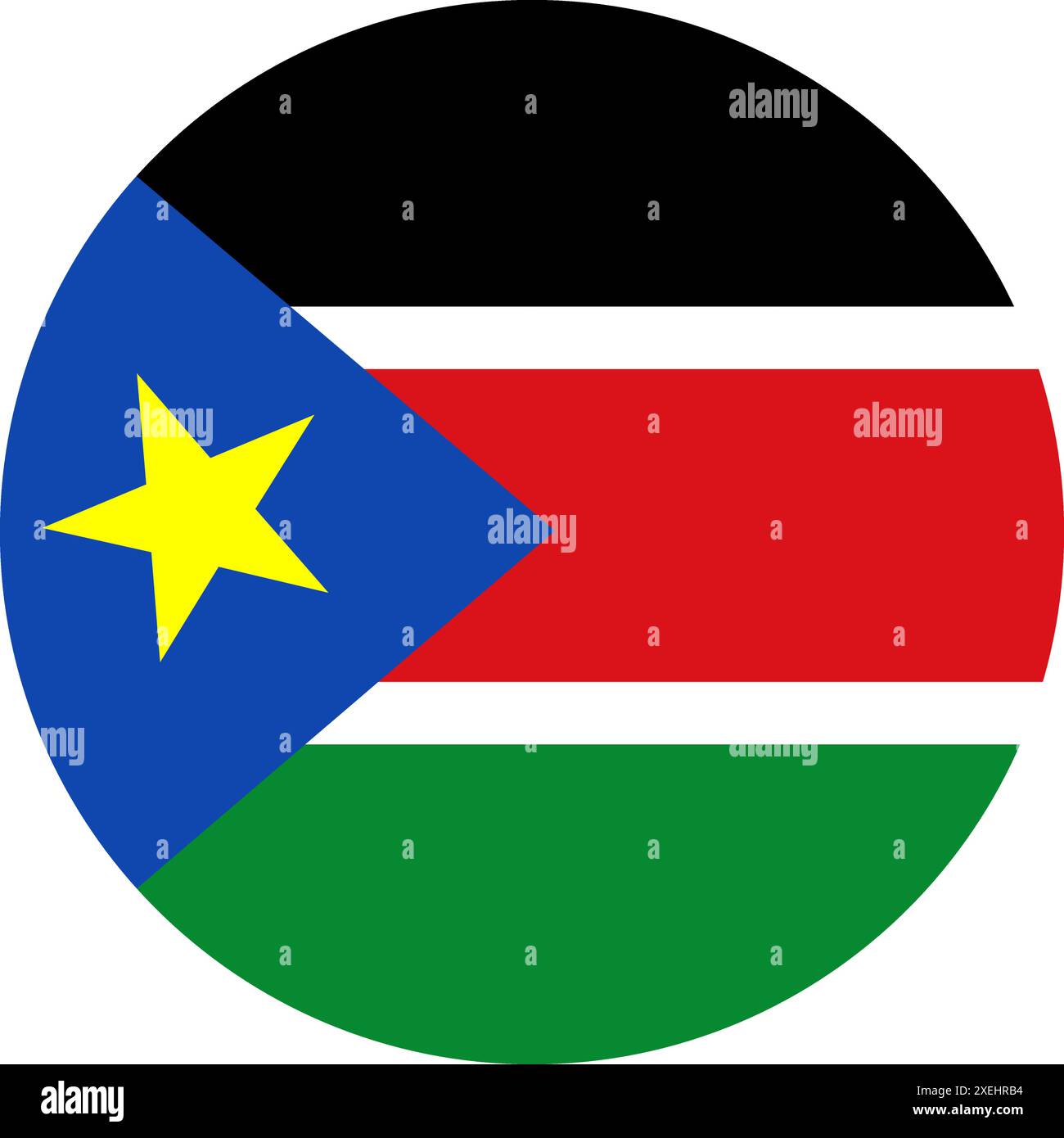 SOUTH SUDAN Flag in circle vector illustration, official color ...