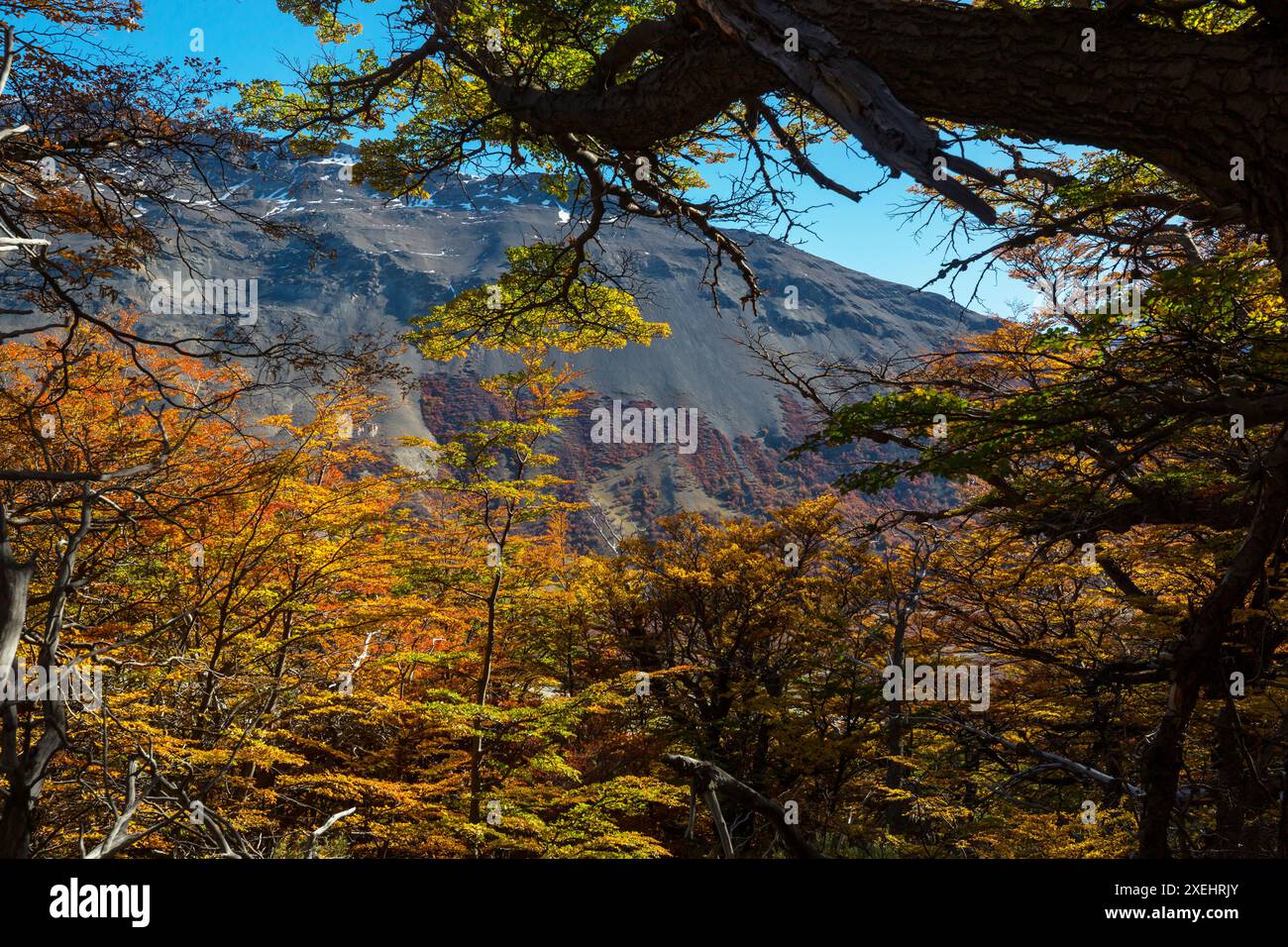 Autumn in Patagonia Stock Photo - Alamy