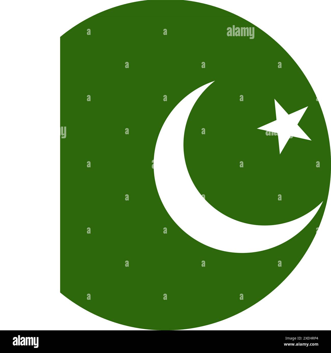 PAKISTAN Flag in circle vector illustration, official color, National ...