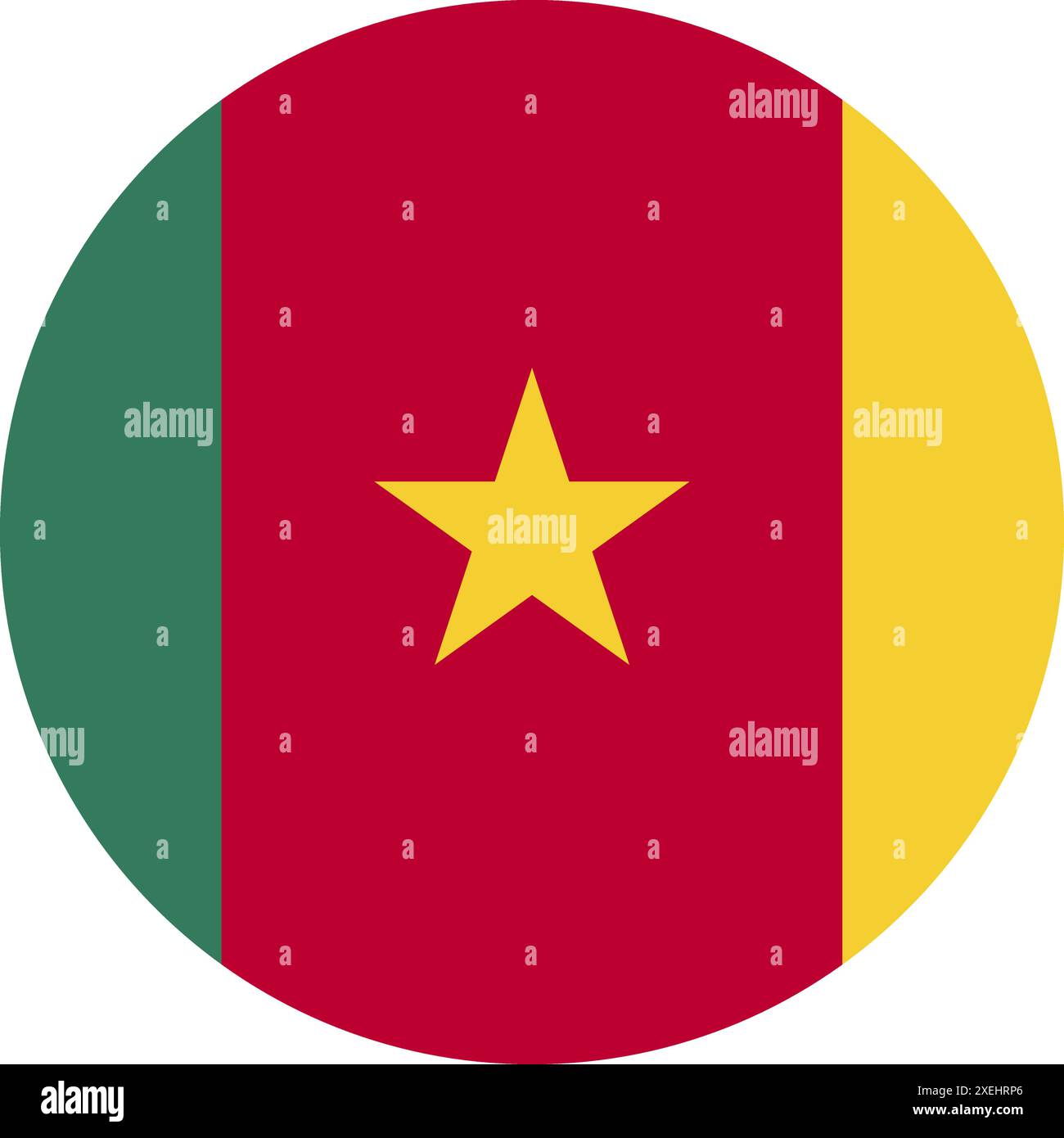 CAMEROON Flag in circle vector illustration, official color, National ...