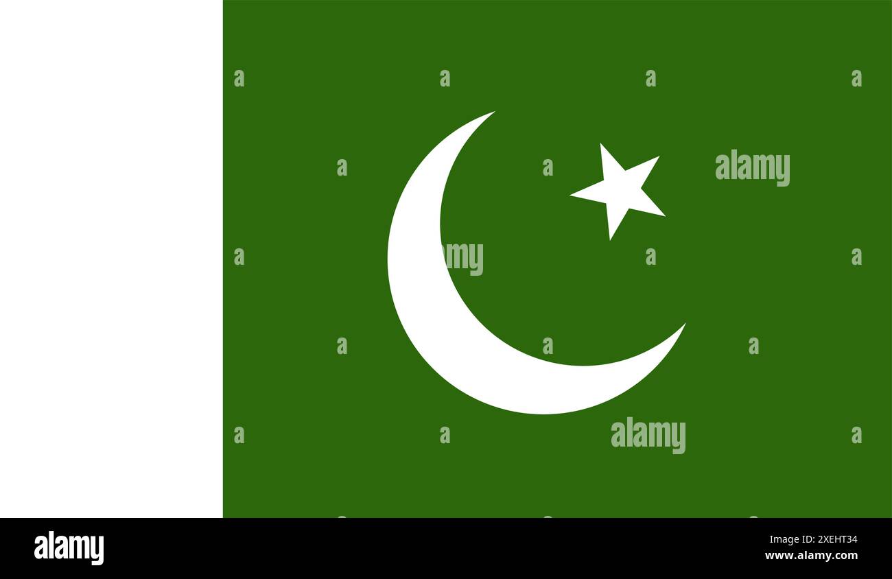 PAKISTAN Flag vector illustration, official color, National flag ...