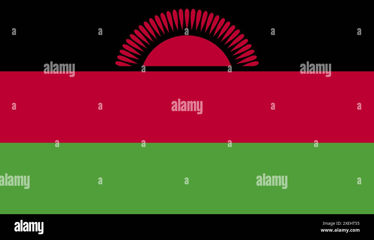 Malawi Flag Vector Illustration Official Color National Flag Symbol