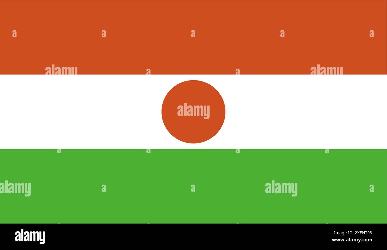 NIGER Flag vector illustration, official color, National flag, symbol ...