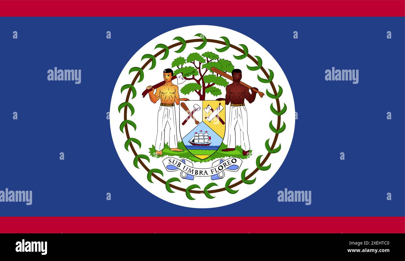 BELIZE Flag vector illustration, official color, National flag, symbol ...
