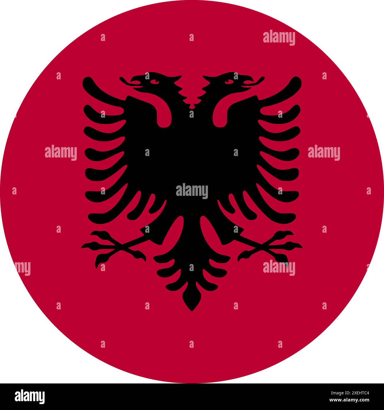 ALBANIA Flag in circle vector illustration, official color, National ...