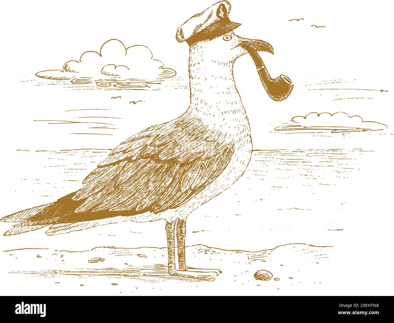 Seagull captain drawn by hand Stock Vector Image & Art - Alamy