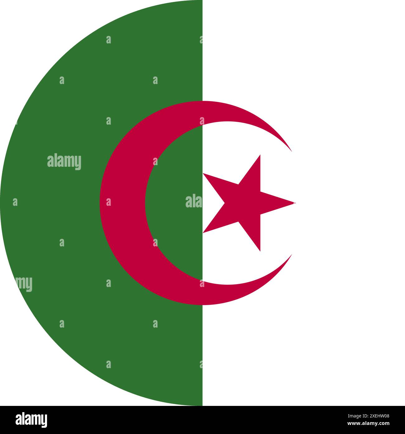 ALGERIA Flag in circle vector illustration, official color, National ...