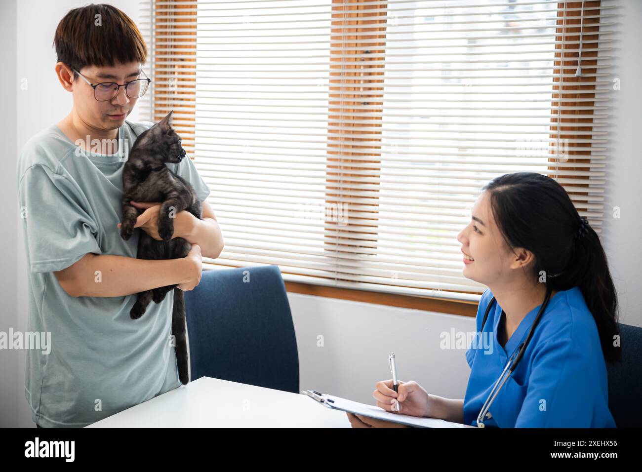 Professional vet doctor helps cat. owner cat holding pet on hands. Cat ...