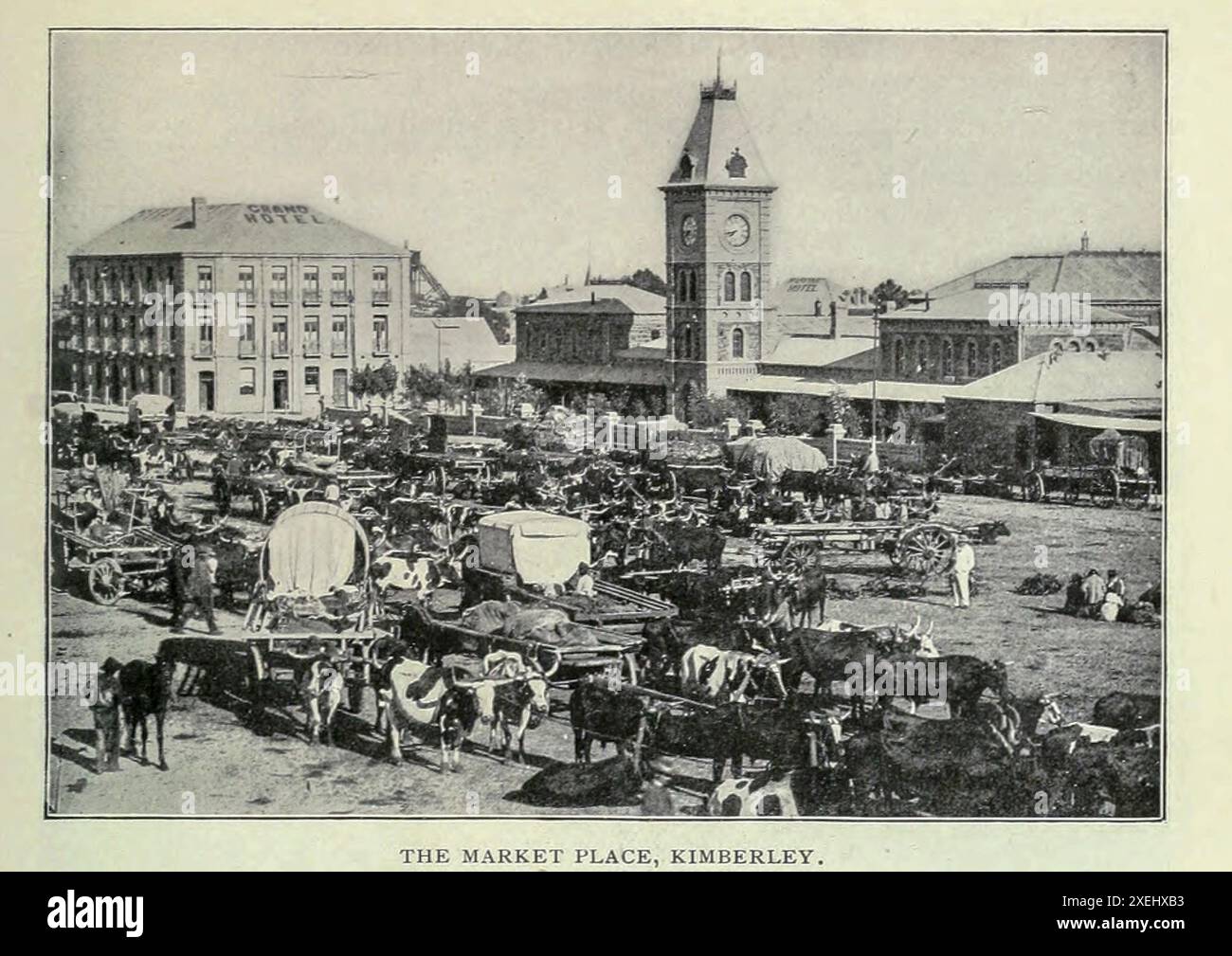 THE MARKET PLACE, KIMBERLEY. from the Article SOUTH AFRICAN QUESTIONS ...