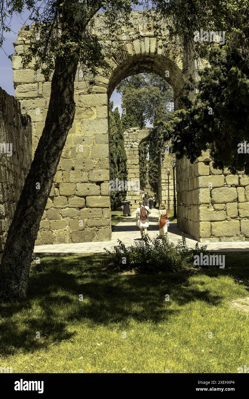 Historic Roman city walls in Merida, Spain, surrounded by lush palm ...