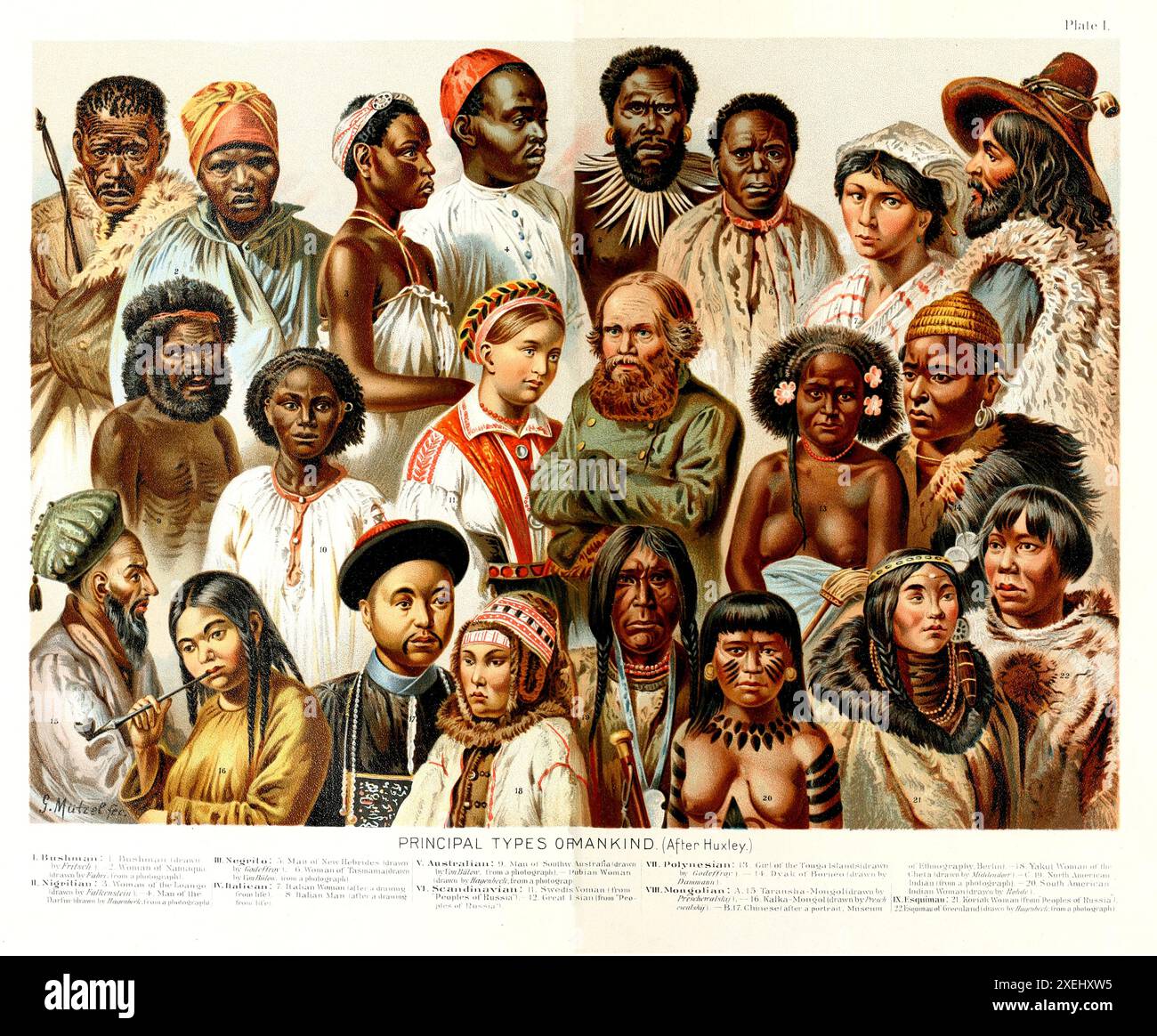 Principle Types of Mankind (After Huxley) from volume 1 of Ridpath's ...