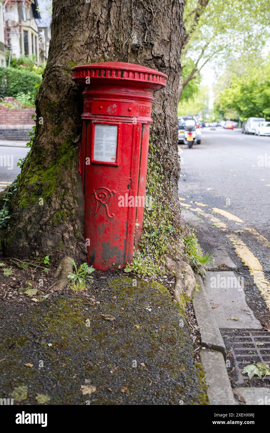 Post Box in Tree in Ninian Road Roath Cardiff South Wales Stock Photo ...