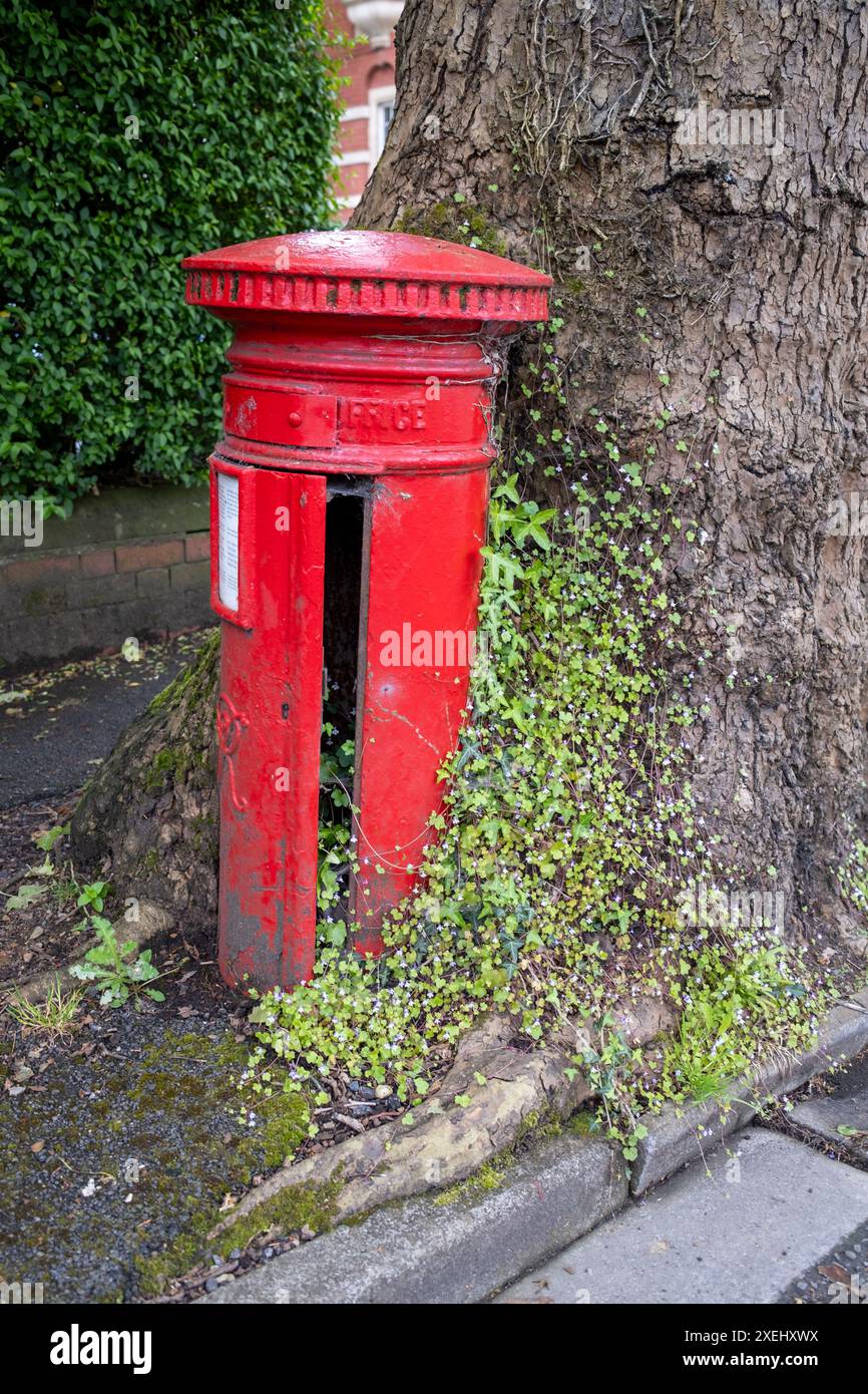Post Box in Tree in Ninian Road Roath Cardiff South Wales Stock Photo - Alamy