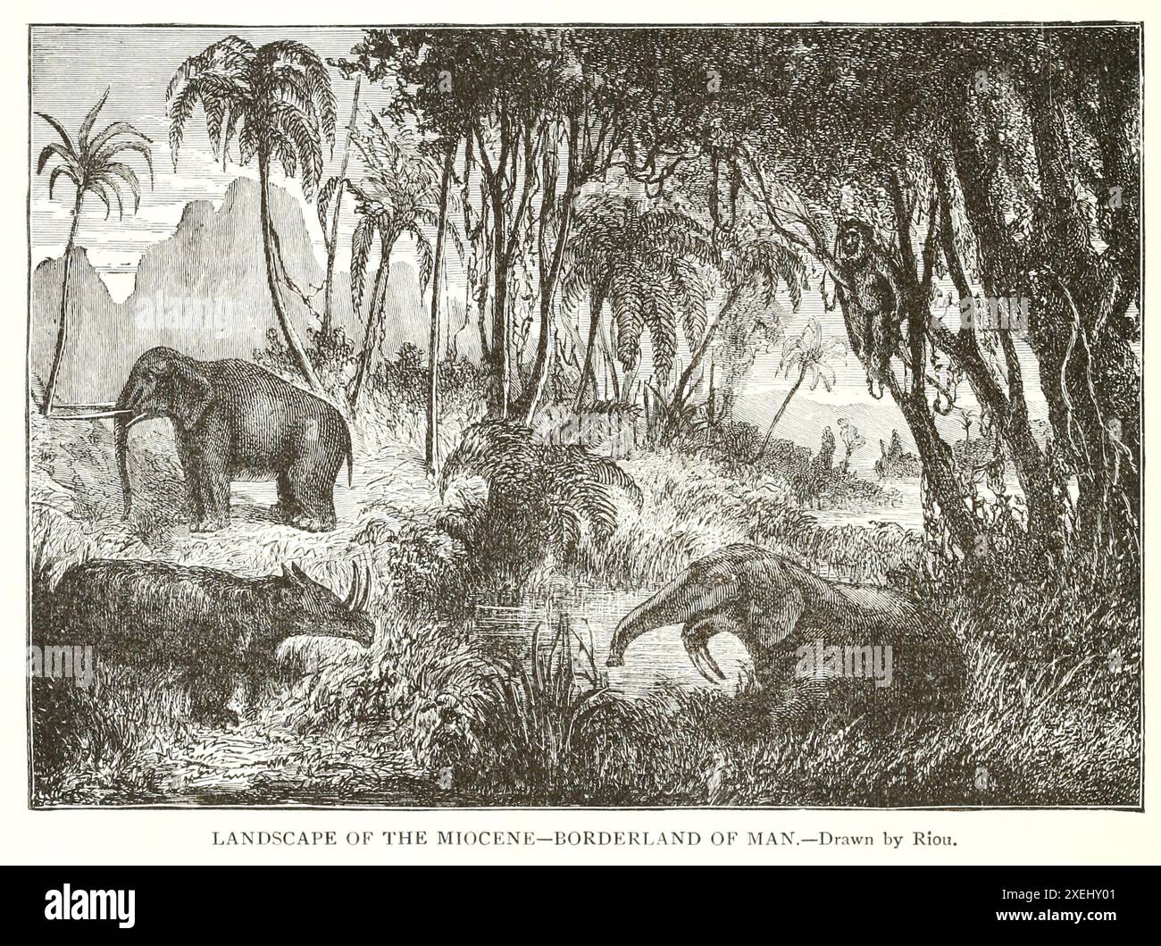LANDSCAPE OF THE MIOCENE - BORDERLAND OF MAN Drawn by Riou.from volume ...